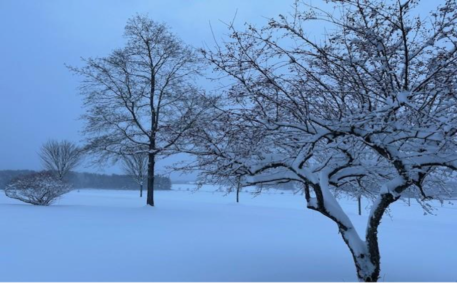 Inflation, Powell and Proposed Limits on Credit Card Interest Rates: